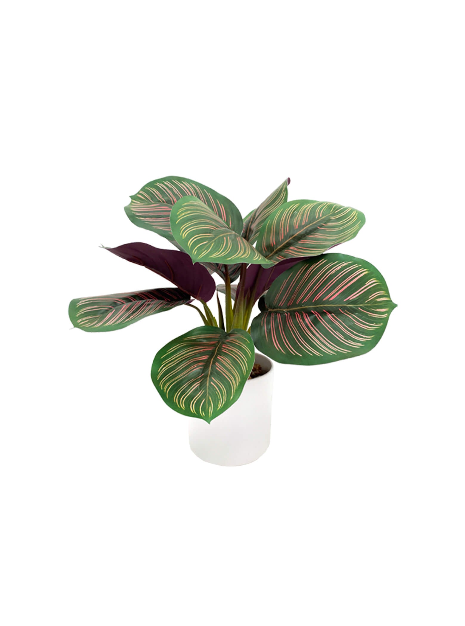 Mini Calathea Plant- 40cm – Pollyanna Concepts - Artificial Plants ...