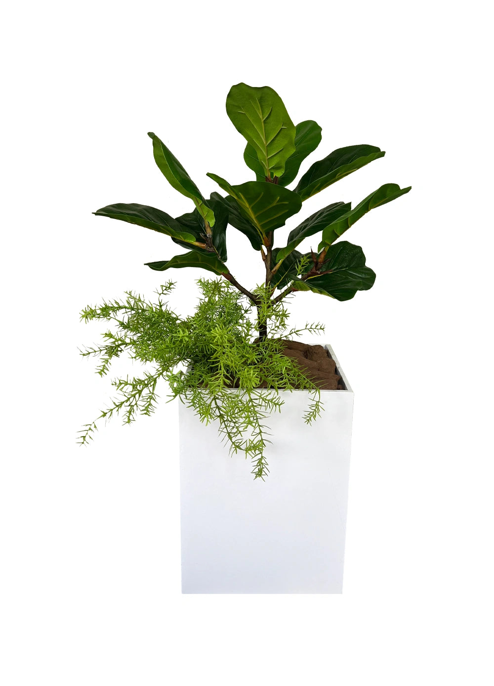 Fiddle & Fern Delight – Pollyanna Concepts - Artificial Plants & Greenwall